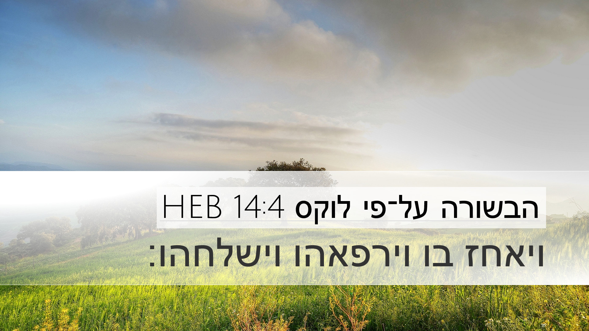 הבשורה על־פי לוקס 14:4 HEB Desktop Wallpaper - ויאחז בו וירפאהו