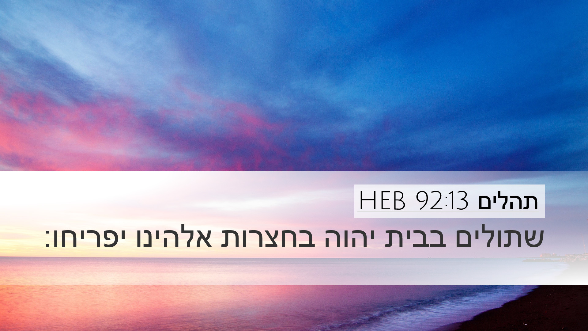 תהלים 92:13 HEB Desktop Wallpaper - שתולים בבית יהוה בחצרות