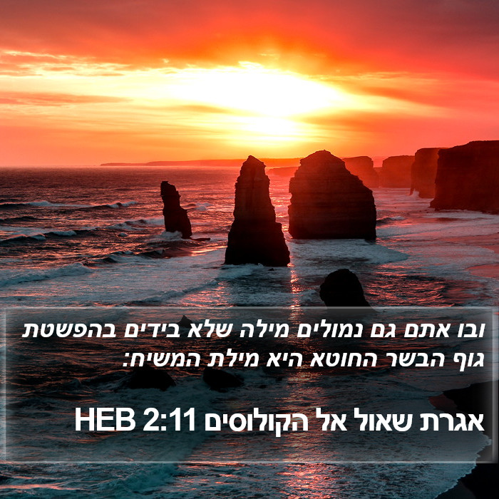 אגרת שאול אל הקולוסים 2:11 HEB - ובו אתם גם נמולים מילה שלא