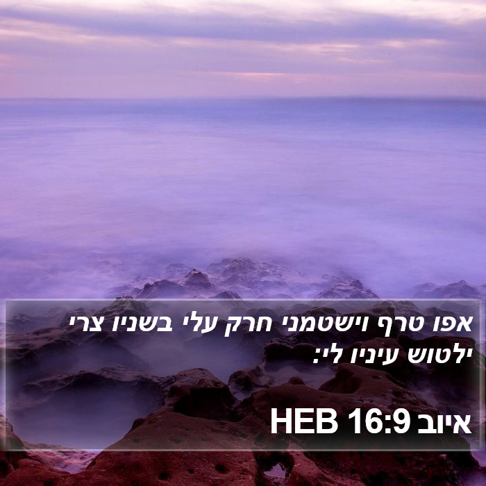 איוב 16:9 HEB - אפו טרף וישטמני חרק עלי