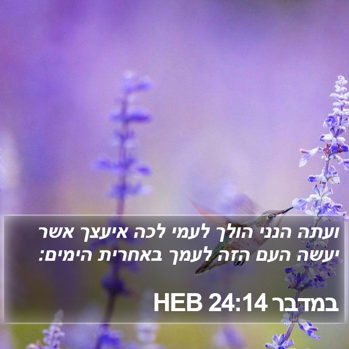 במדבר 24:14 HEB - ועתה הנני הולך לעמי לכה