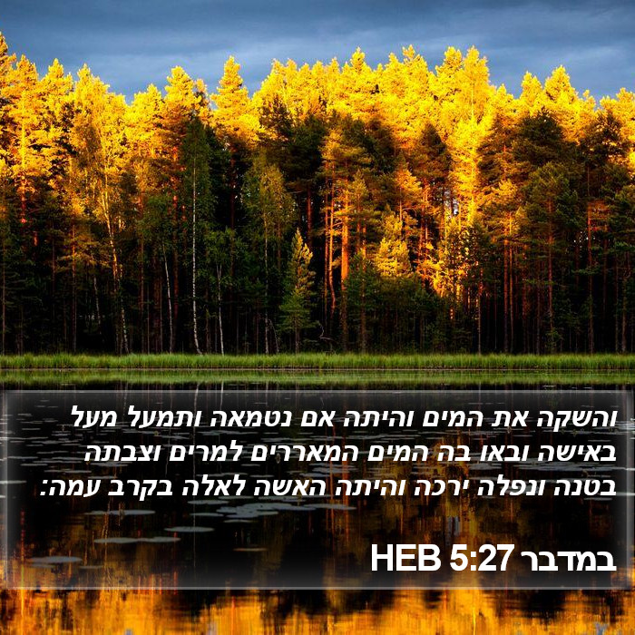 במדבר 5:27 HEB - והשקה את המים והיתה אם