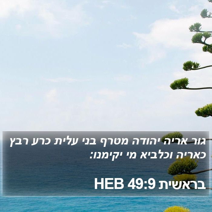 בראשית 49:9 HEB - גור אריה יהודה מטרף בני