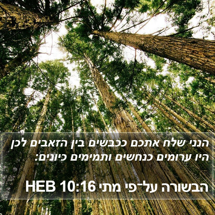 הבשורה על־פי מתי 10:16 HEB - הנני שלח אתכם ככבשים בין
