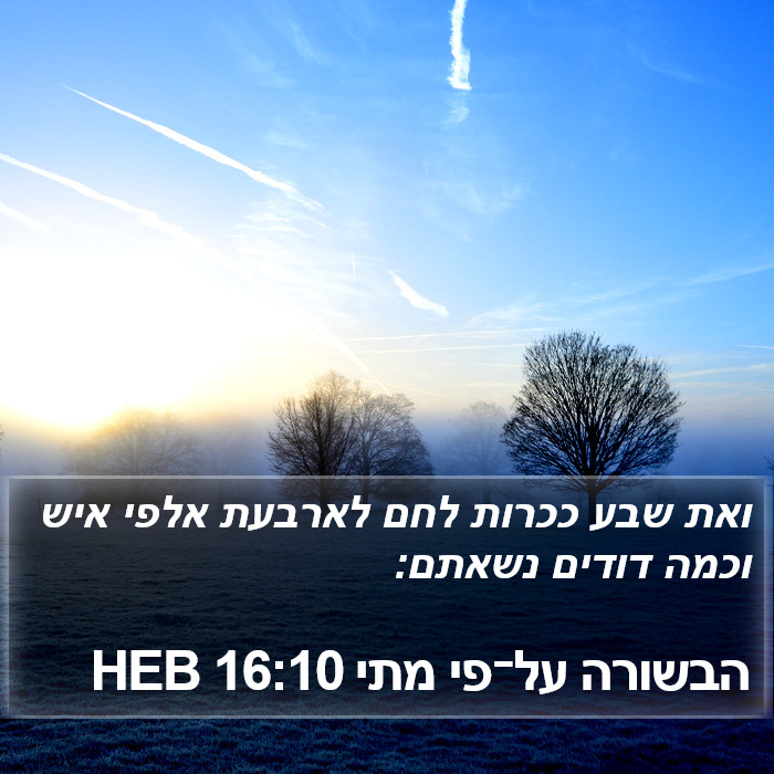 הבשורה על־פי מתי 16:10 HEB - ואת שבע ככרות לחם לארבעת