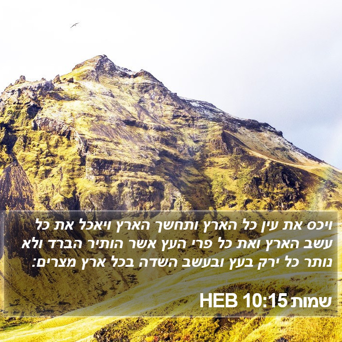 שמות 10:15 HEB - ויכס את עין כל הארץ ותחשך
