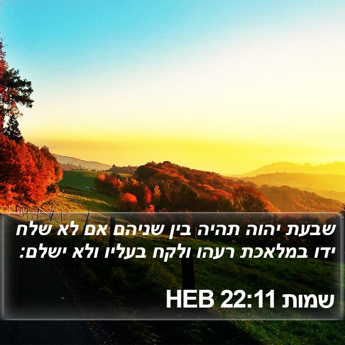 שמות 22:11 HEB - שבעת יהוה תהיה בין שניהם אם