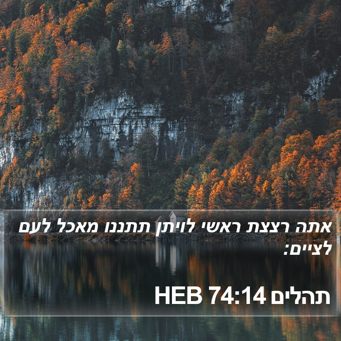 תהלים 74:14 HEB - אתה רצצת ראשי לויתן תתננו