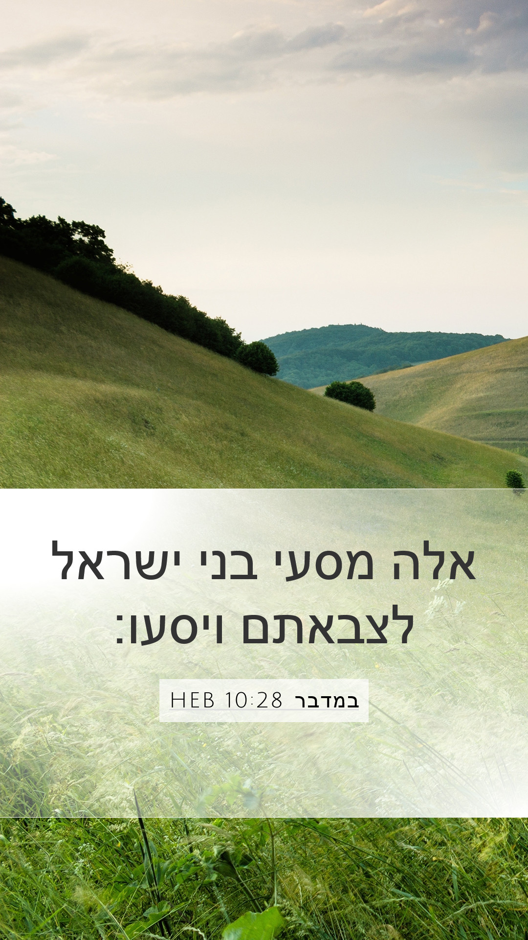 במדבר 10:28 HEB Mobile Phone Wallpaper - אלה מסעי בני ישראל לצבאתם